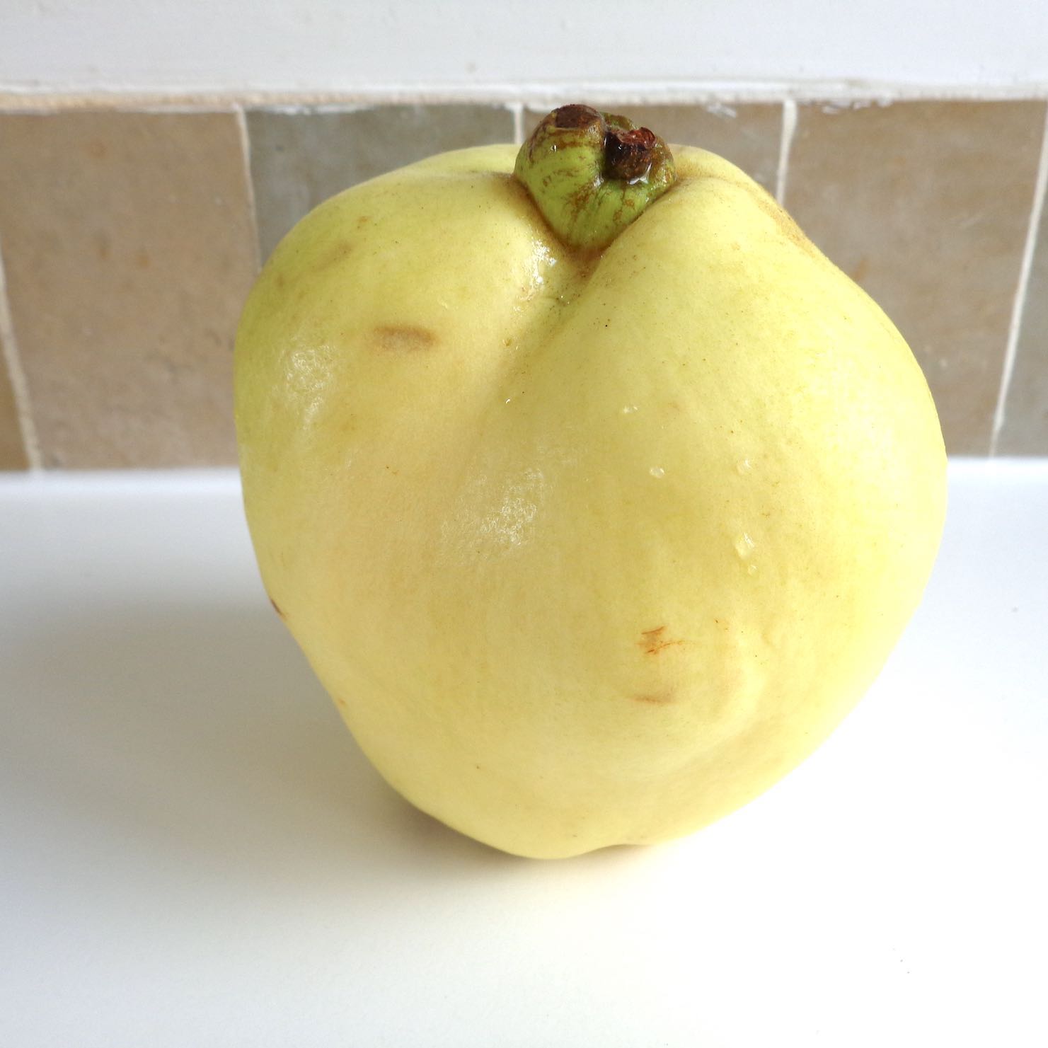 Poulet aux coings | The Everyday French Chef