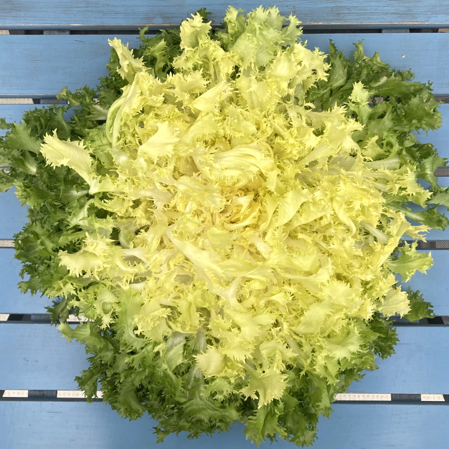 The Everyday French Chef | The modern cook’s guide to producing ...