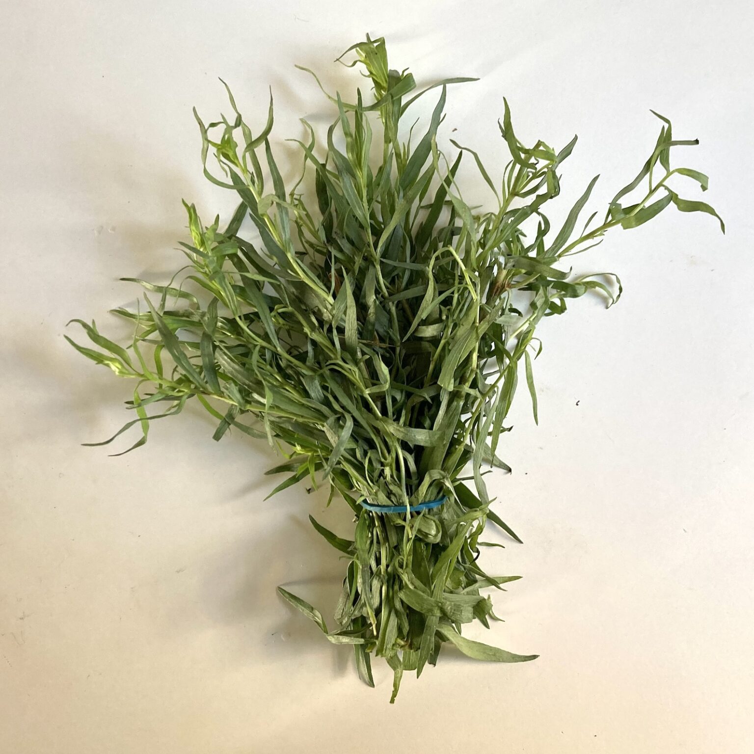 Omelette aux fines herbes | The Everyday French Chef